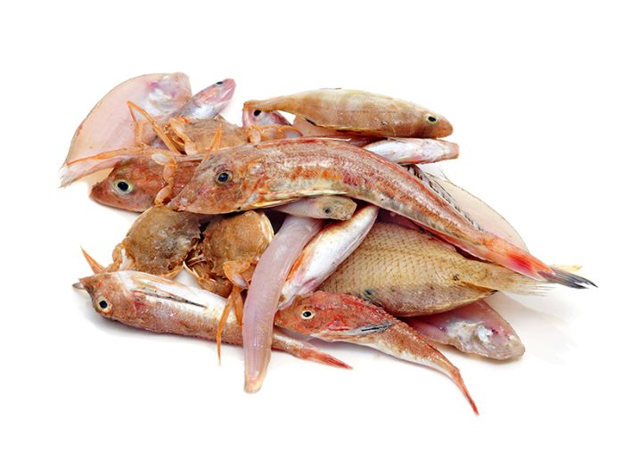 Morralla de pescado: Increíblemente versátil.