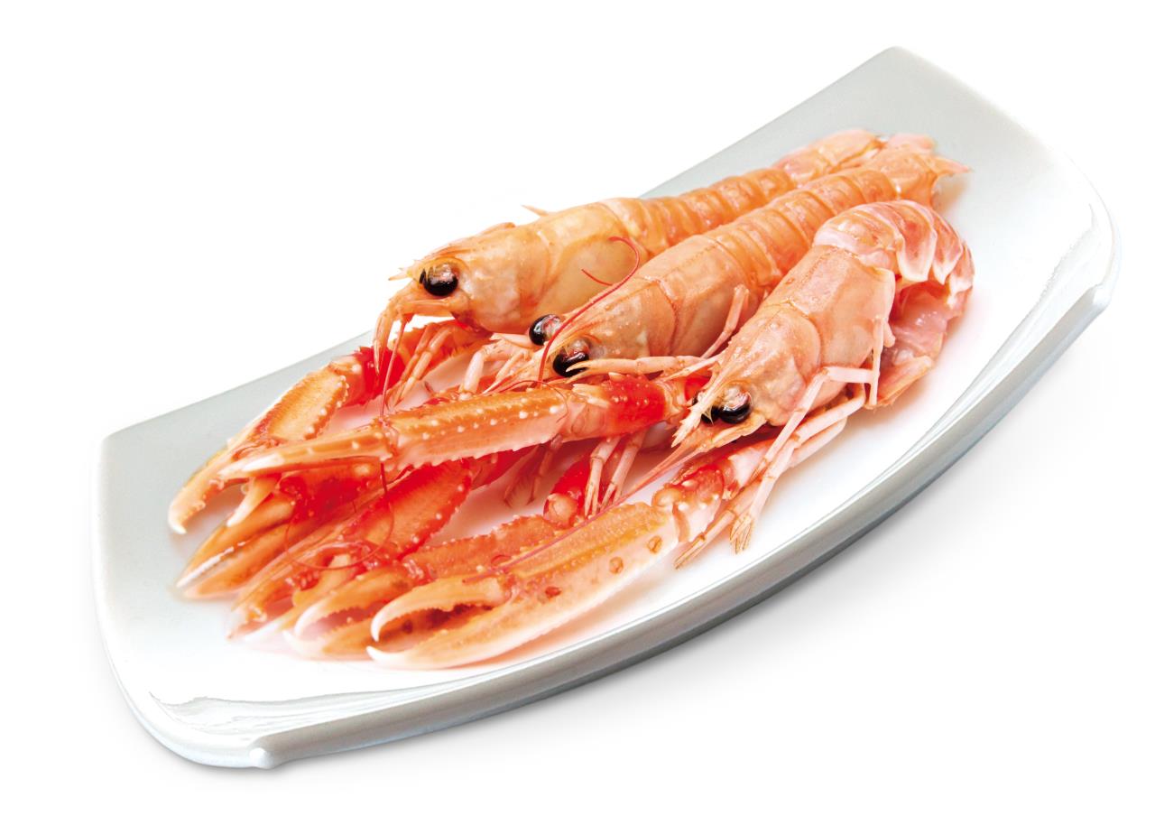 Cigala n-4 26/35 4x1,5kg.