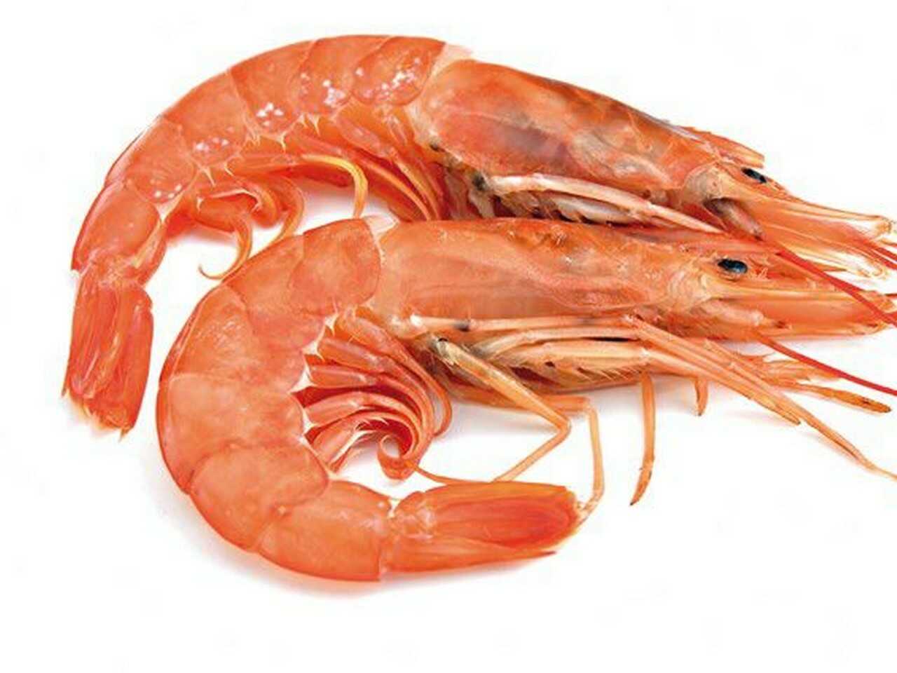 Gambón Nº 1 | 10/20 piezas por kilo | Libre de glaseo