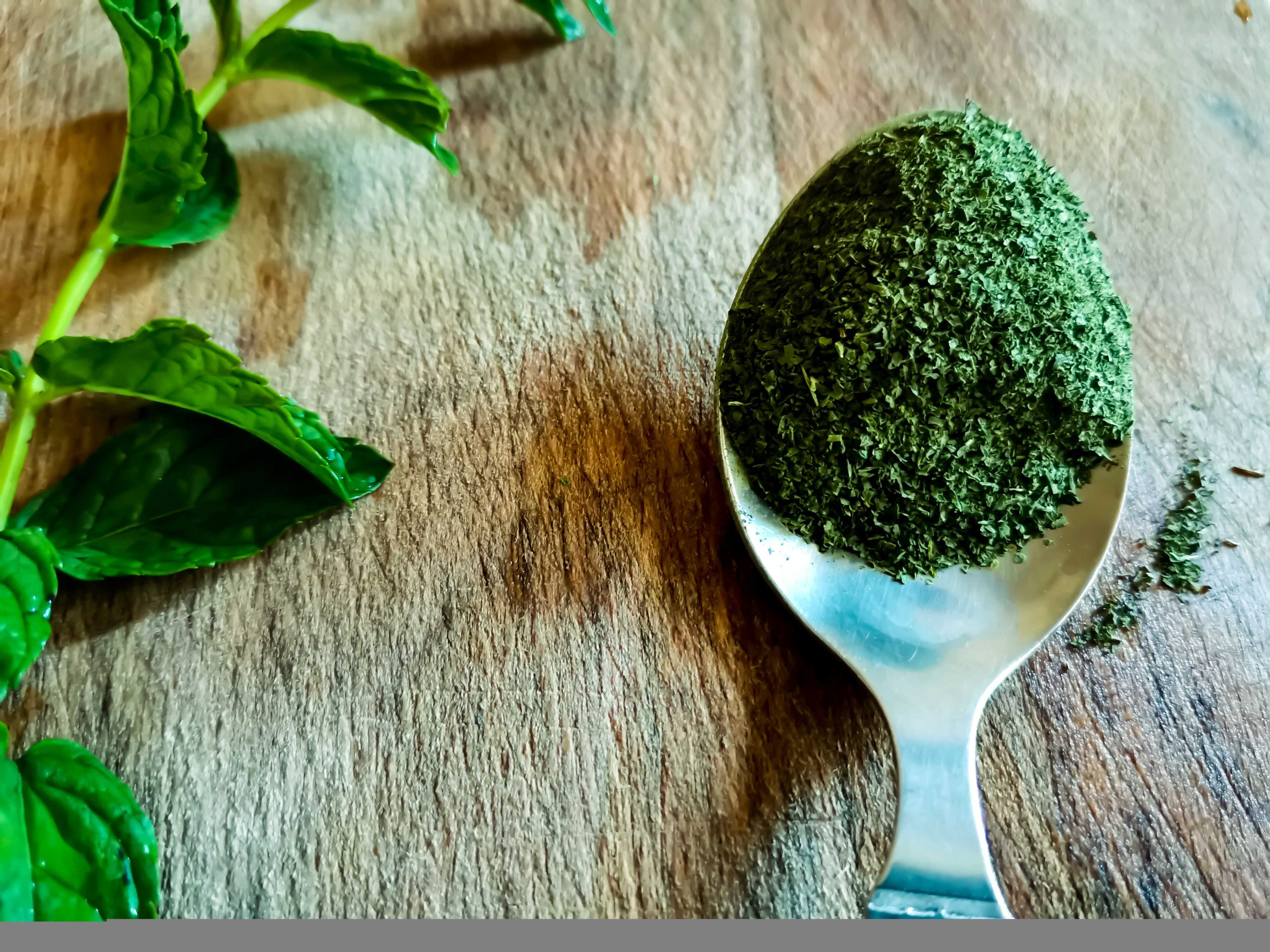 Hierbabuena | Usos y beneficios